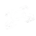 Rend Bot Build - New World Season 10 DPS Guide