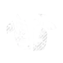 Rend Bot Build - New World Season 10 DPS Guide